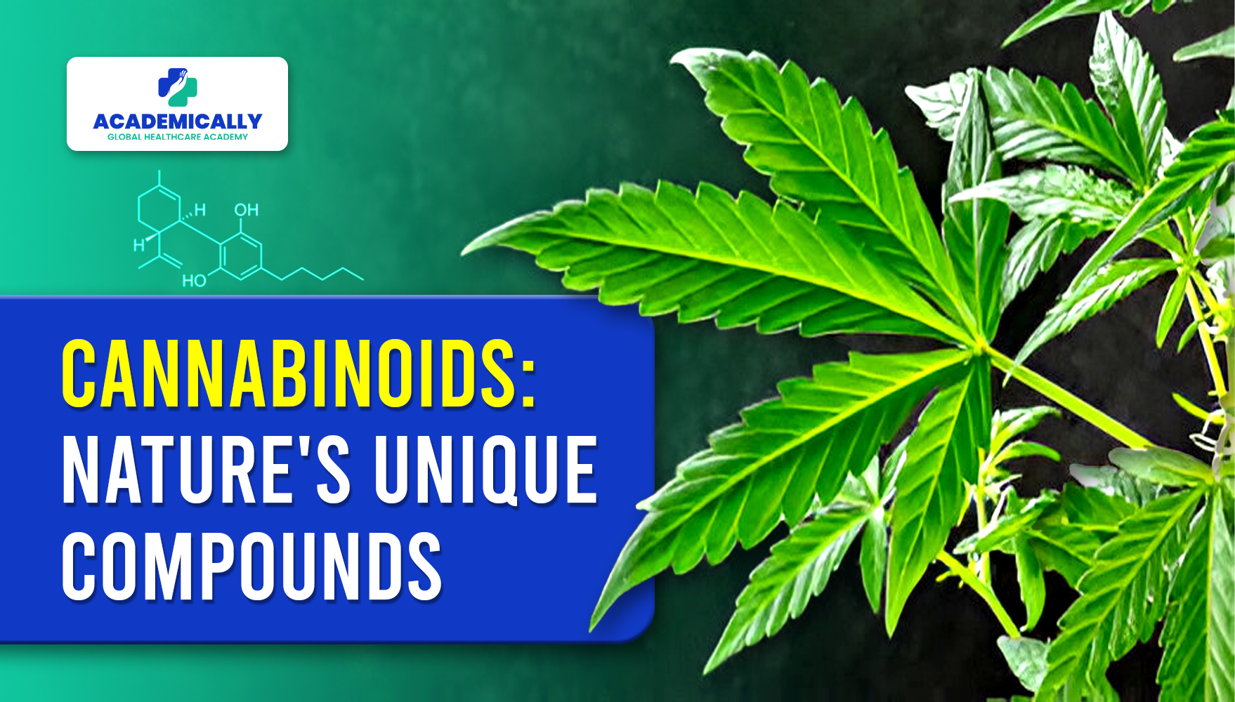 Cannabinoids Natures Unique Compounds Academically Global